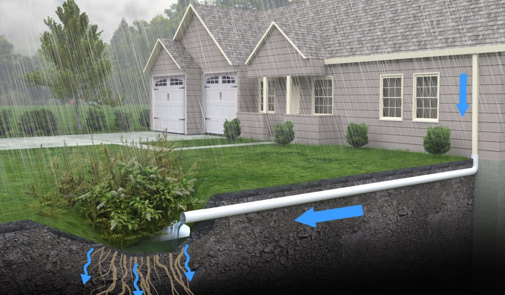Rain Garden Diagram | Meglepetés
