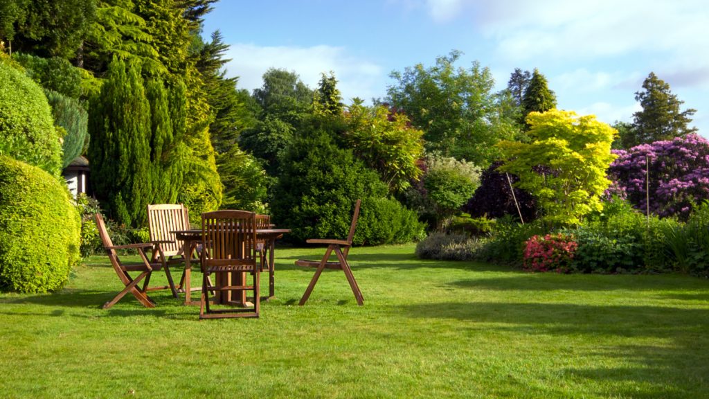 English Garden | Meglepetés