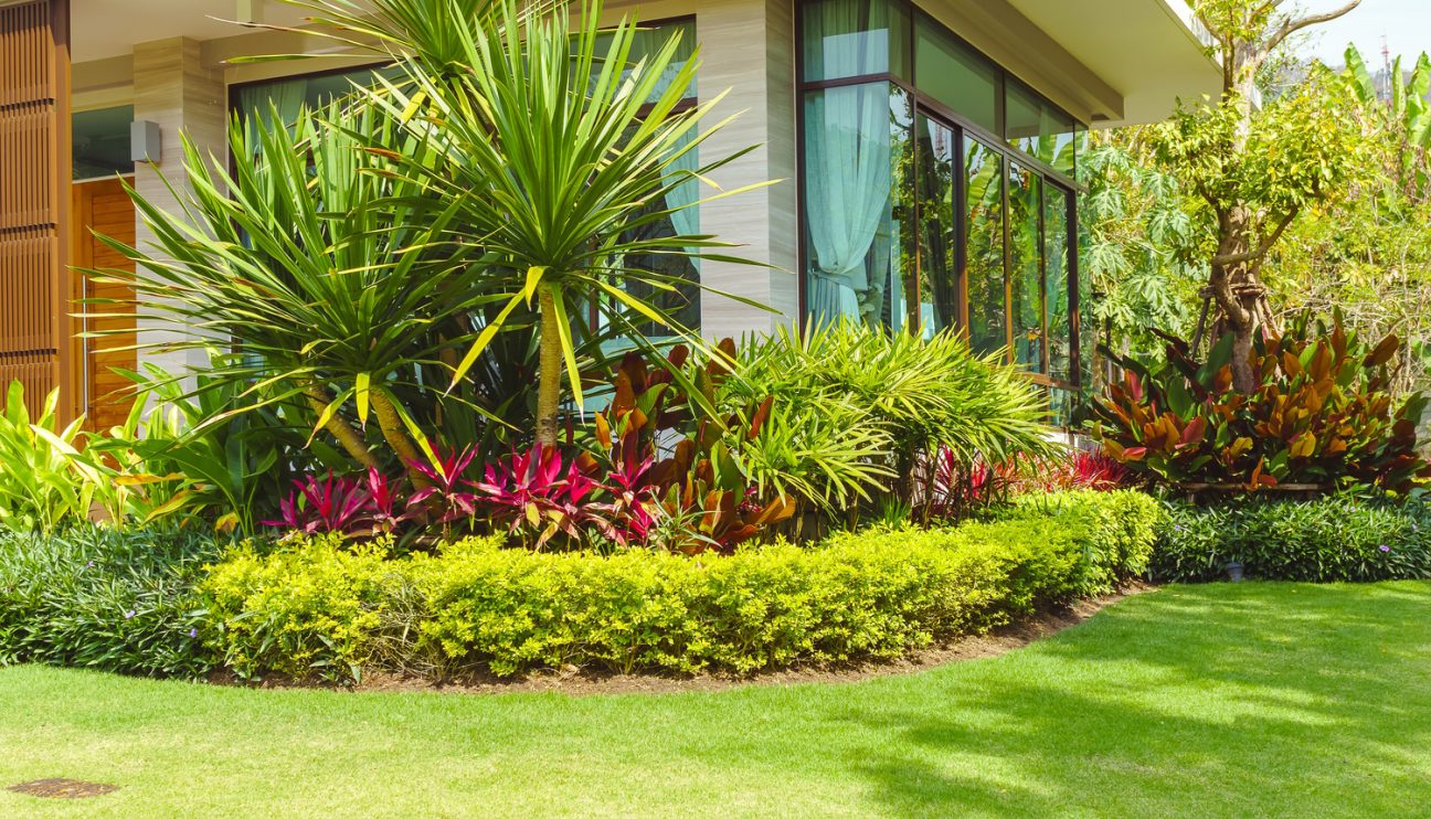 Pathways with green lawns, Landscaping in the garden, Curve walkway on ...
