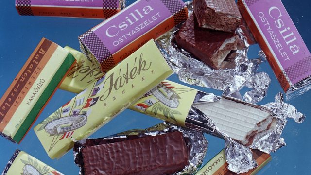 Dr. Demeter Alexandra, a Survivor szereplője