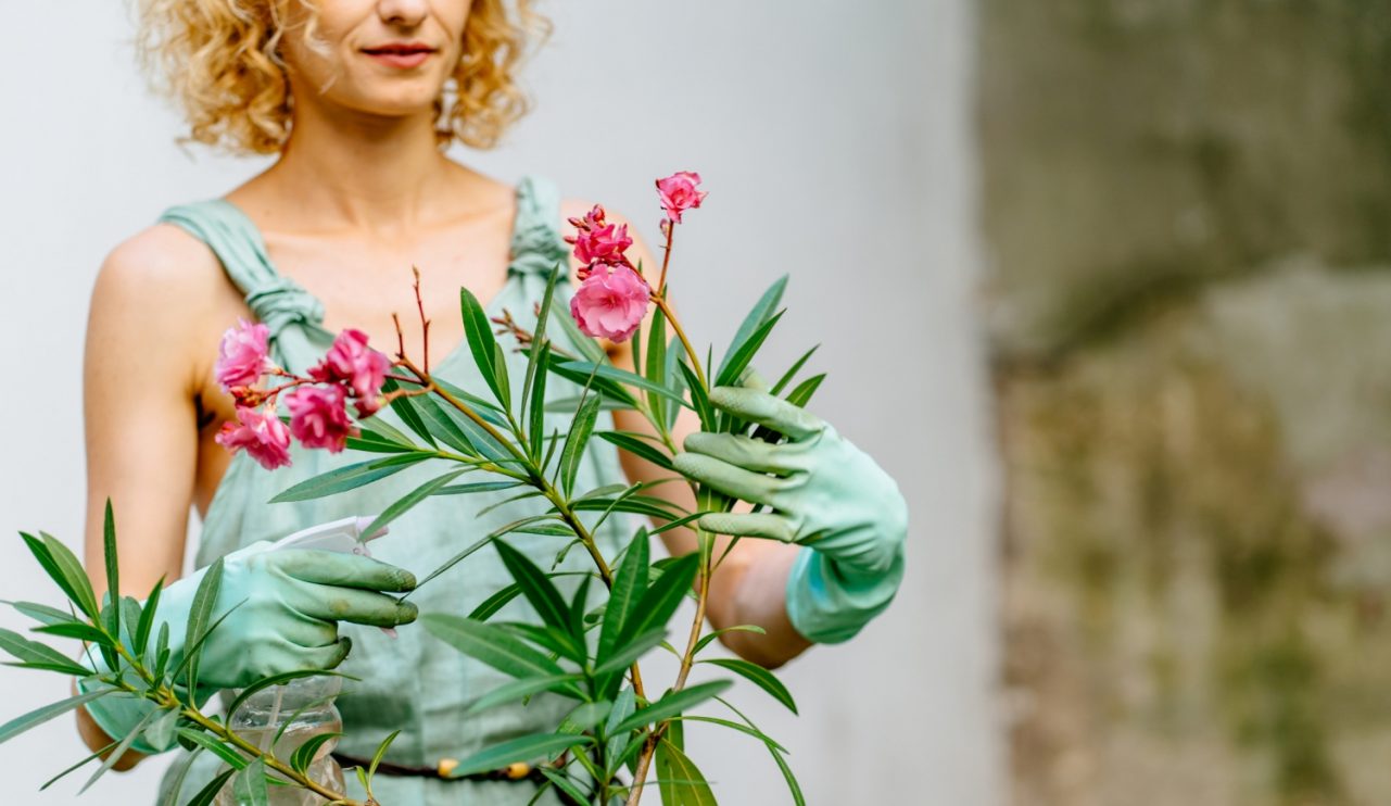 Leander teleltetése: így kerüld el a fagy végzetes kárait